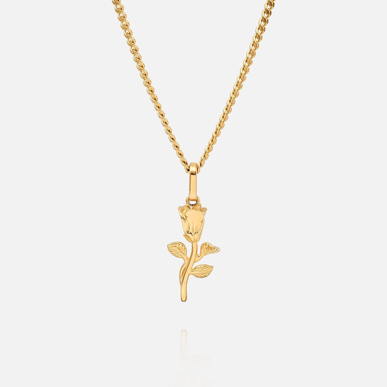 Rose - Gold – Zotic